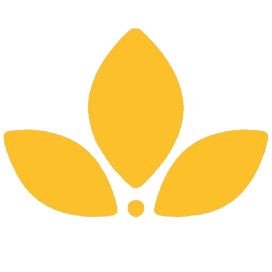 Épicerie africaine – Québec | Marché Ikapi